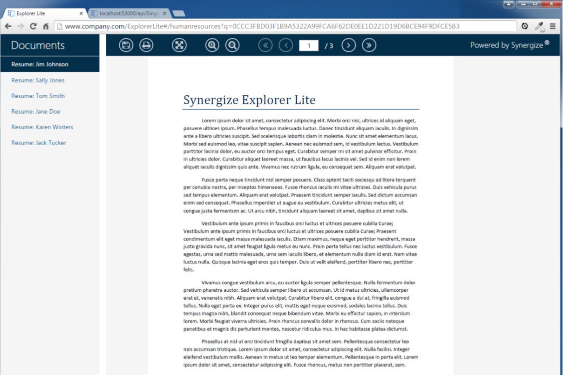 Synergize Explorer Lite