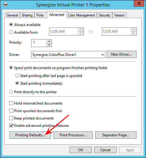 Install and Configure Synergize Virtual Printer